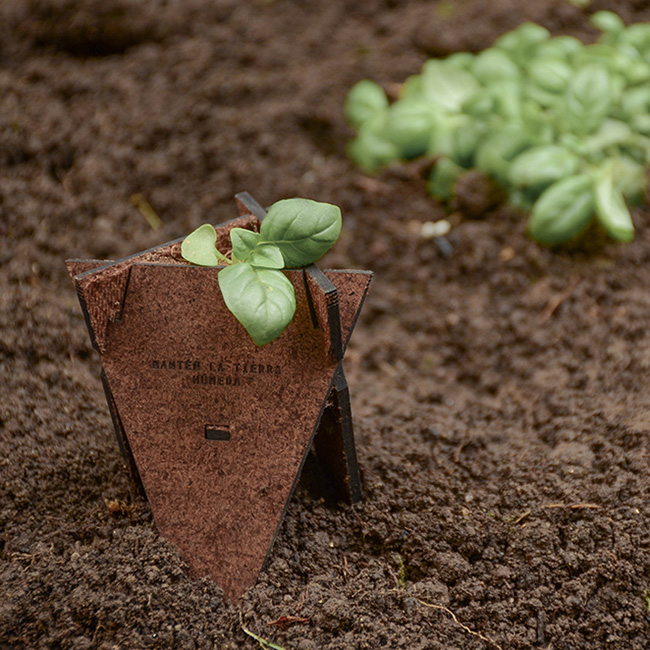 Germinador orgánico: plantando semillas con material biodegradable ...